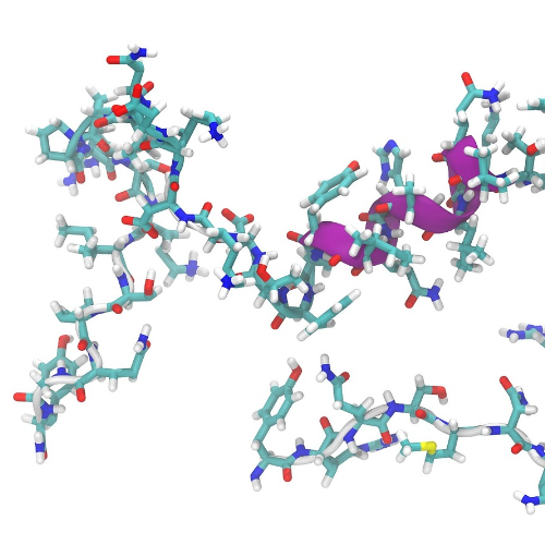 Peptide Synthesis-GENSCRIPT BIOTECH-2024 亞洲生技大展 - 亞洲生技大會系列活動