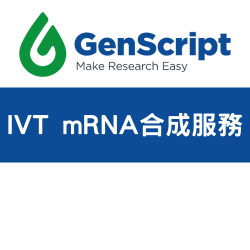 IVT mRNA Synthesis-GENSCRIPT BIOTECH-BIO Asia-Taiwan Exhibition 2025